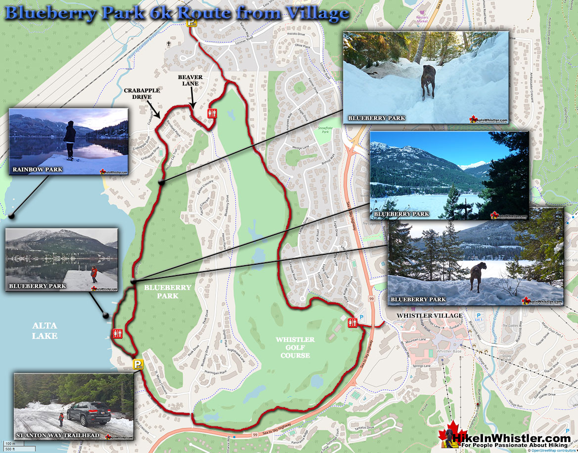 Blueberry Trail Snowshoe Whistler 2021
